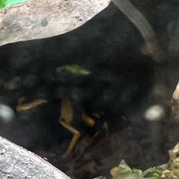 EAST BAY VIVARIUM - Updated April 2025 - 648 Photos & 604 Reviews ...