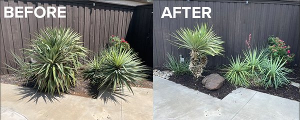 ROA TREE SERVICE - Updated September 2025 - 10 Photos - Carrollton ...