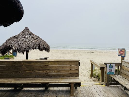 BLUE PARROT OCEAN FRONT CAFE - Updated December 2025 - 428 Photos & 621 ...