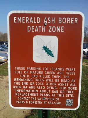 UPPER ARLINGTON PUBLIC LIBRARY - Updated January 2026 - 26 Photos & 19 ...