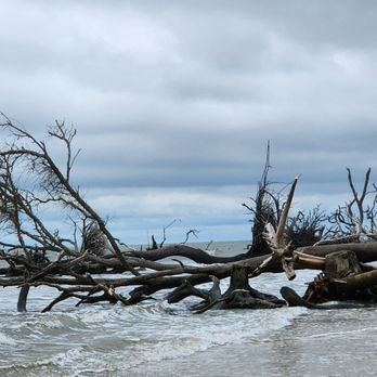 BOTANY BAY PLANTATION - Updated October 2025 - 349 Photos & 73 Reviews ...