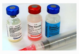 DUNDEE ANIMAL HOSPITAL - Updated December 2025 - 13 Photos & 88 Reviews ...