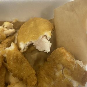 PAPA DOGZ - Updated April 2025 - 41 Photos & 33 Reviews - 707 Dixie Dr ...