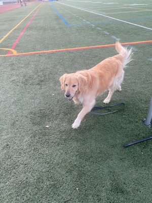 MIRAMONTE HIGH SCHOOL - Updated December 2025 - 15 Photos & 14 Reviews ...