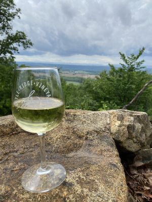 LITTLE RIDGE VINEYARDS - Updated July 2024 - 16 Photos - 607 Ridge Rd ...