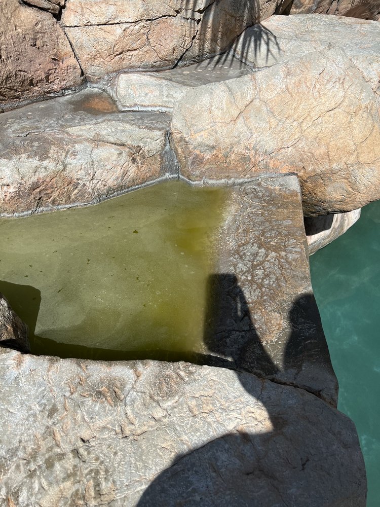 TITAN POOLS - Updated December 2025 - 55 Photos & 48 Reviews - 5765 ...