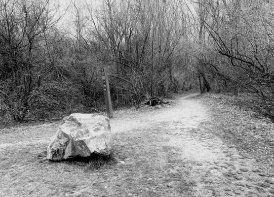 HARMONY HILL NATURE AREA - Updated January 2026 - 36 Photos - 1200 ...