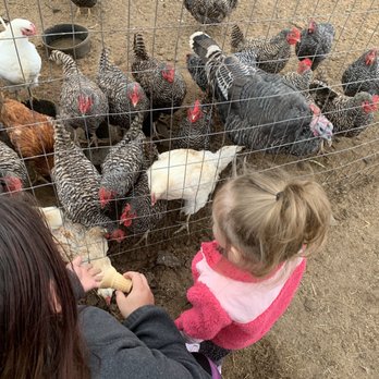 PEZZA FARM AND GARDEN CENTER - Updated October 2025 - 64 Photos & 18 ...