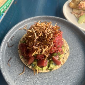 TUNA AZUL - Updated November 2024 - 498 Photos & 348 Reviews - Calle ...