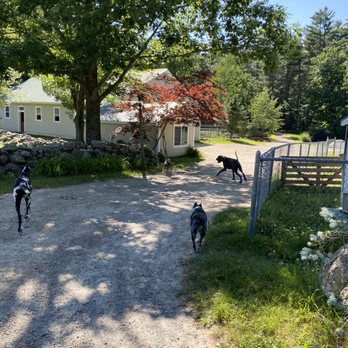 CHARMINGFARE FARM - Updated July 2025 - 40 Photos & 126 Reviews - 774 ...