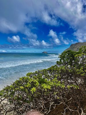 301 Moved Permanently