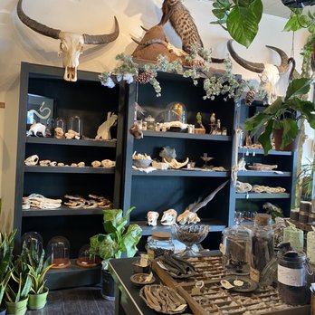 NATURAL SELECTION - Open for Business - 171 Photos & 75 Reviews - 39 St ...