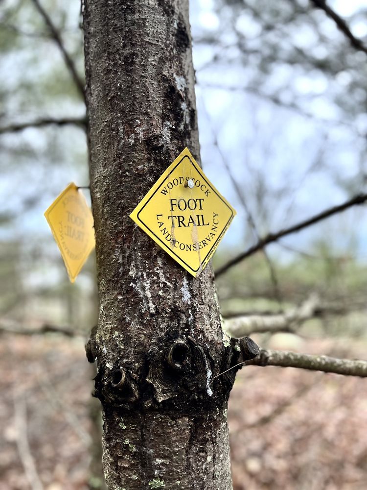 SNAKE ROCKS PRESERVE - Updated January 2025 - Bearsville, New York ...