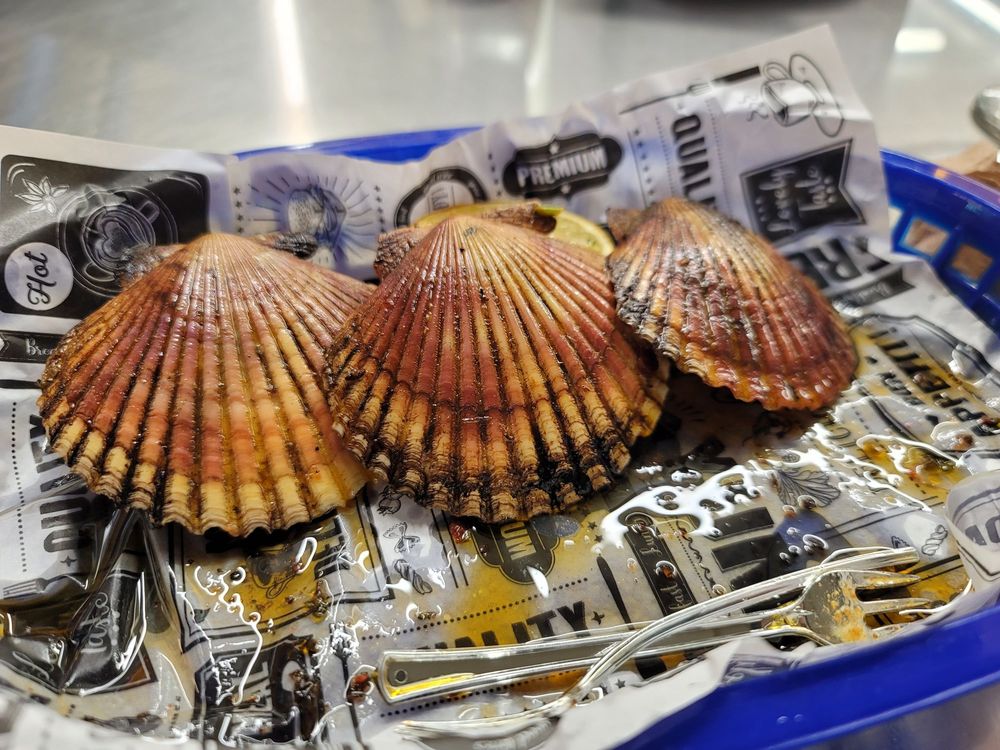 ROXY & JO’S SEAFOOD GRILL & OYSTER BAR - Updated December 2025 - 223 ...