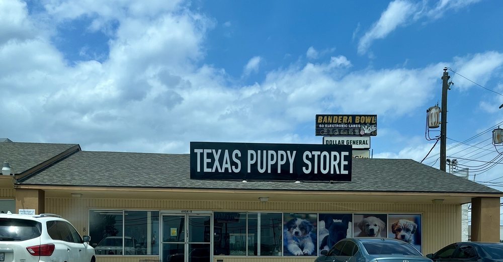TEXAS PUPPY STORE - Updated May 2024 - 6904 Bandera Rd, Leon Valley ...