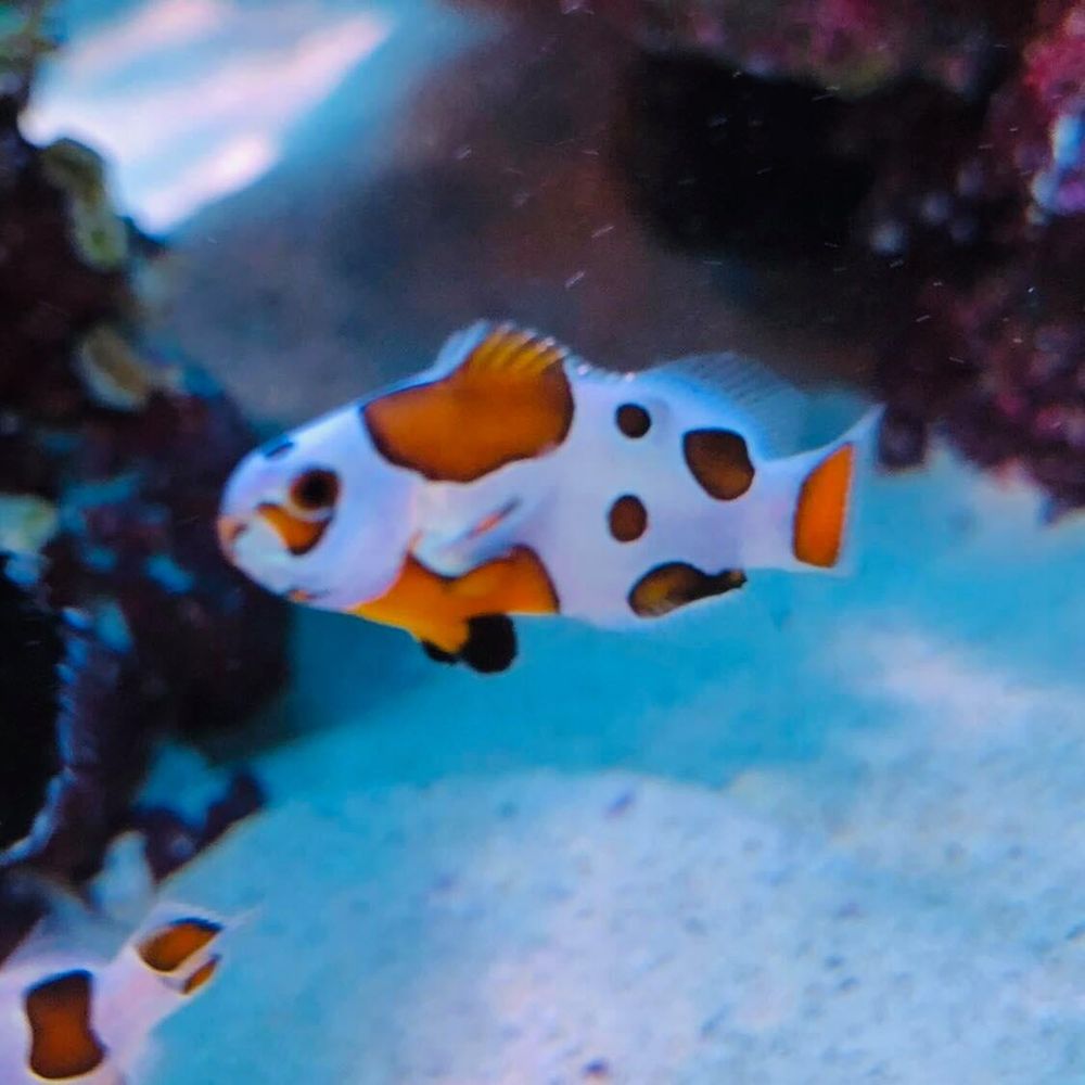 FISH WORLD - Updated October 2025 - 50 Photos & 10 Reviews - 11634 Busy ...