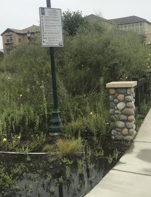 AZUSA POLICE DEPARTMENT - Updated December 2025 - 38 Photos & 27 ...