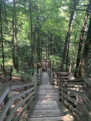 IARGO SPRINGS INTERPRETIVE SITE - Updated October 2025 - 40 Photos & 10 ...