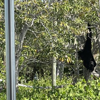 NAPLES ZOO - 970 Photos & 293 Reviews - 1590 Goodlette Rd N, Naples ...