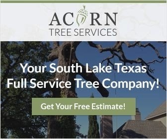 ACORN TREE SERVICES - Updated October 2025 - 30 Photos & 31 Reviews ...