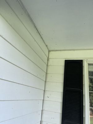 TRIGUARD PEST CONTROL - Updated December 2025 - 61 Photos & 416 Reviews ...