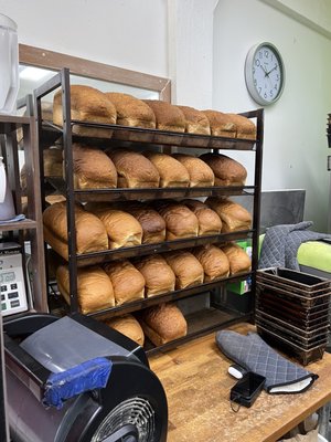 MACHETE’S MEAN SANDWICHES - Updated January 2026 - 422 Photos & 433 ...