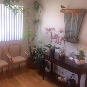 MARIA LOURDES YEO, DDS - 11 Reviews - General Dentistry - 2130 Ralston ...