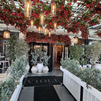 VIOLÍ OAKBROOK - Updated October 2025 - 788 Photos & 320 Reviews - 260 ...