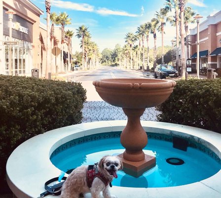 THE SHOPS AT WIREGRASS - 168 Photos & 123 Reviews - 28211 Paseo Dr ...