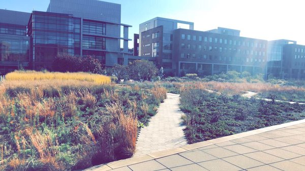 US FOOD AND DRUG ADMINISTRATION - Updated March 2024 - 29 Photos ...