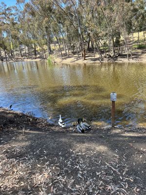 SCRIPPS MIRAMAR RANCH LIBRARY - Updated December 2025 - 105 Photos & 57 ...