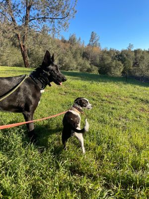 MOUNTAIN GATE RV PARK & CABINS - Updated December 2025 - 59 Photos ...