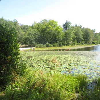 DAY POND STATE PARK - Updated August 2024 - 36 Photos - Day Pond Rd ...