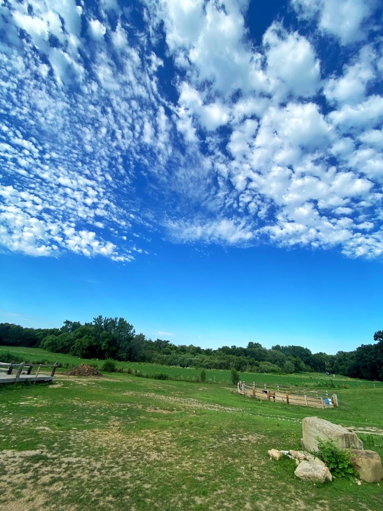 MILLBROOK TRAIL RIDES - 41 Photos & 24 Reviews - 8078 Whitfield Rd ...