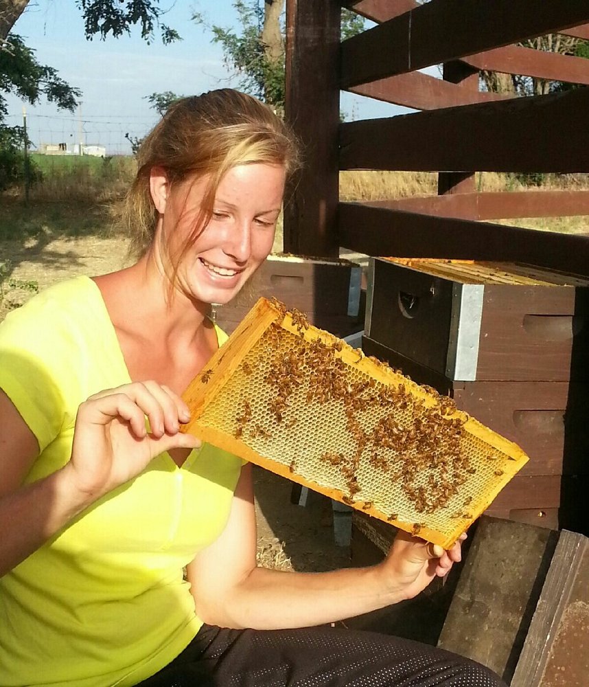 JOHNSTON APIARIES - Updated August 2025 - 13 Photos - 29616 Noble Rd ...