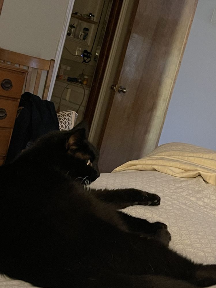 TAPATIO HILL COUNTRY GOLF COURSE - Updated January 2026 - 11 Photos - 1 ...