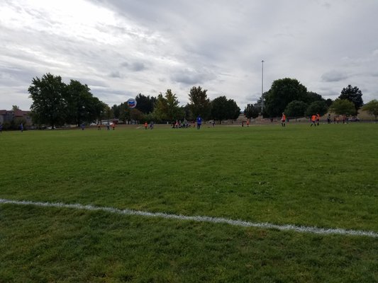 DELTA PARK - Updated October 2025 - 11 Photos & 14 Reviews - 10850 N ...