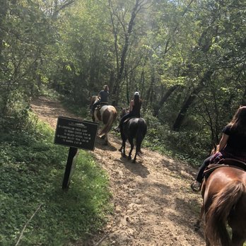 SHENANDOAH RIDING CENTER - Updated November 2025 - 49 Photos & 77 ...
