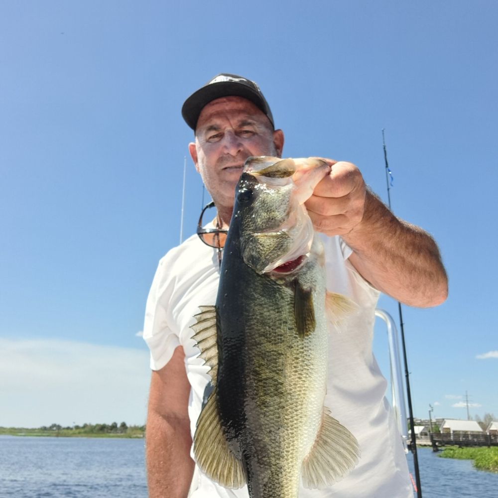 FISH IT ALL - Updated October 2025 - 16 Photos - Orlando, Florida ...