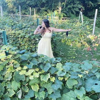 THE RED FERN INN AT ROCKY POINT WINERY - Updated November 2025 - 124 ...