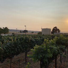 GARRÉ CAFE - Updated July 2025 - 300 Photos & 270 Reviews - 7986 Tesla ...