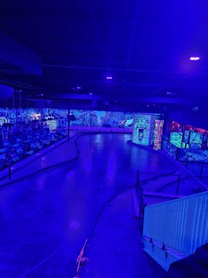 THE RUSH FUNPLEX - Updated August 2025 - 20 Reviews - 309 NE Englewood ...