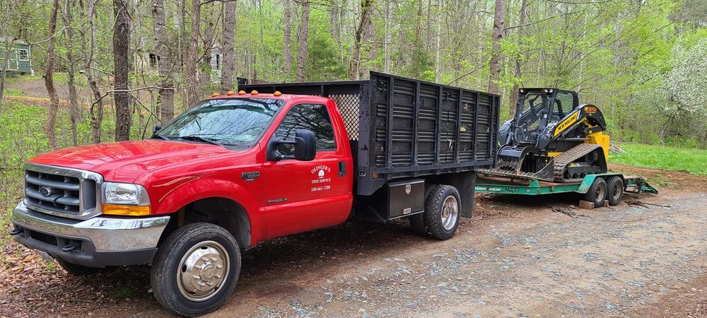 OLINGER’S TREE SERVICE - Updated June 2025 - 19 Photos - Gordonsville ...