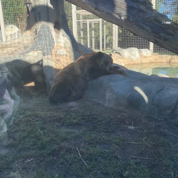 TULSA ZOO - Updated February 2025 - 508 Photos & 132 Reviews - 6421 E ...