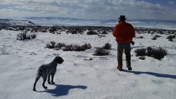 COOKE CANYON HUNT CLUB - Updated December 2025 - 151 Pointer Ln ...