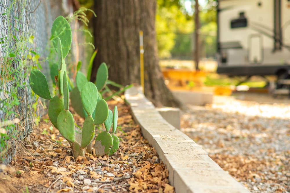 LITTLE STAR RV PARK - Updated March 2025 - 45 Photos - 1833 Hwy 2861 ...