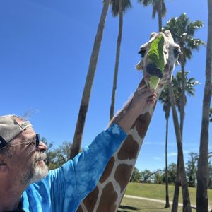 ZEZGO - Updated May 2025 - 43 Photos & 297 Reviews - 7466 Narcoossee Rd ...