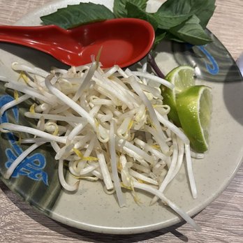 SPRING LOTUS RESTAURANT - Updated September 2025 - 71 Photos & 146 ...