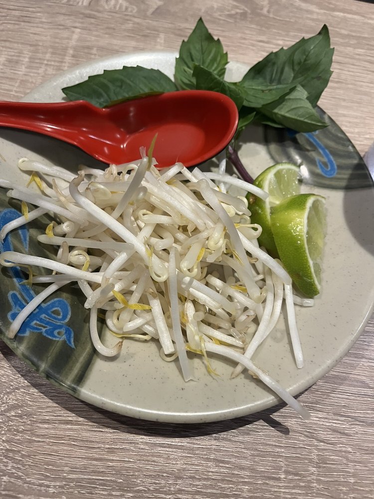 SPRING LOTUS RESTAURANT - Updated August 2025 - 69 Photos & 145 Reviews ...