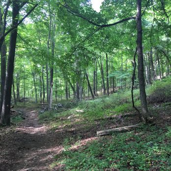 WARD POUND RIDGE RESERVATION - Updated October 2025 - 60 Photos & 25 ...